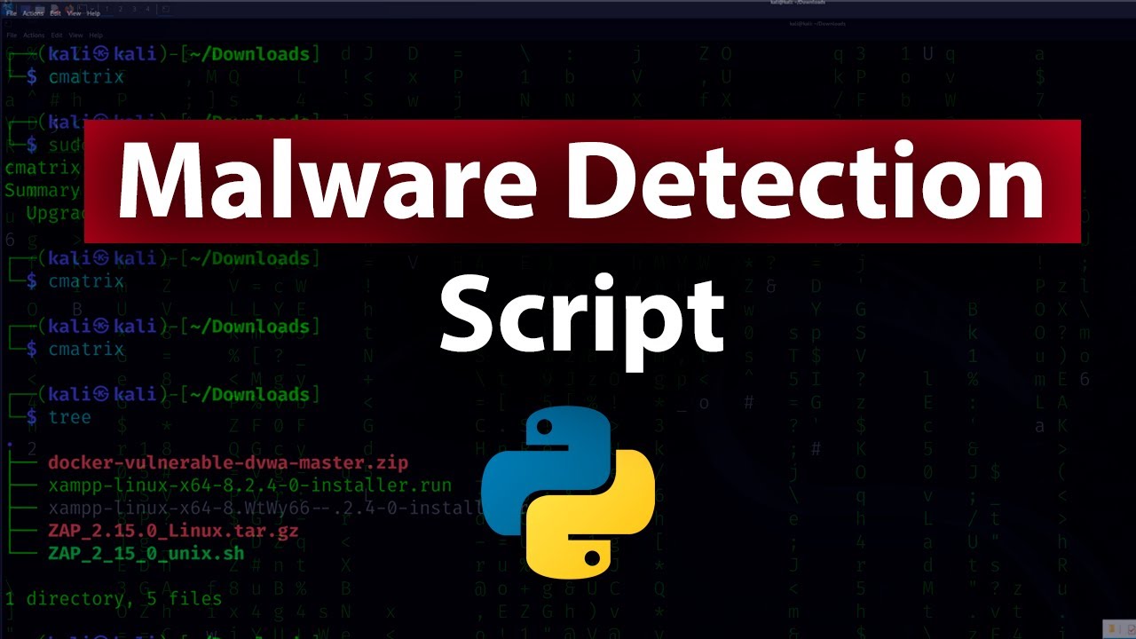Build A Malware Detection Script Using Python