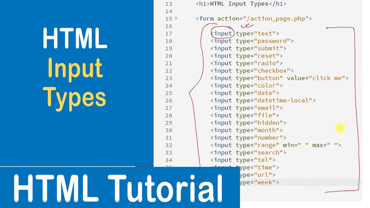#26 HTML Input Type Attribute | HTML Tutorial