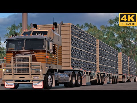 Steam Community :: Video :: [TS-PC] ATS 4K | PROJECT STRAYLIA ...