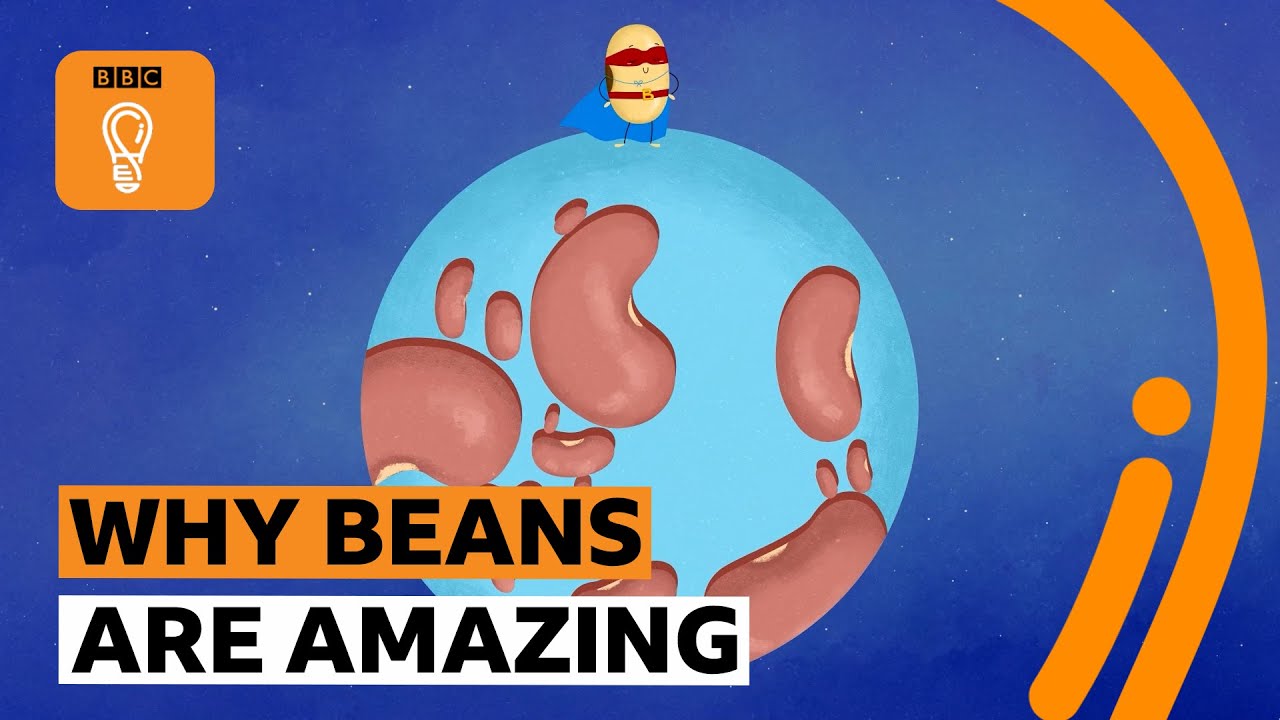 How the humble bean can help the world (BBC Ideas x Oxford Social Sciences)