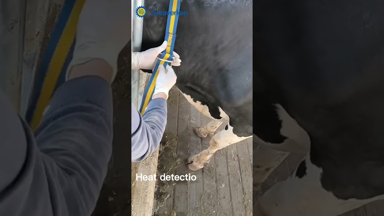 Smart Farming with Automated Solutions