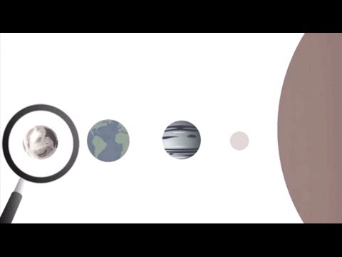 ReelLife Science Schools Video Competition WINNERS! – ReelLIFE SCIENCE