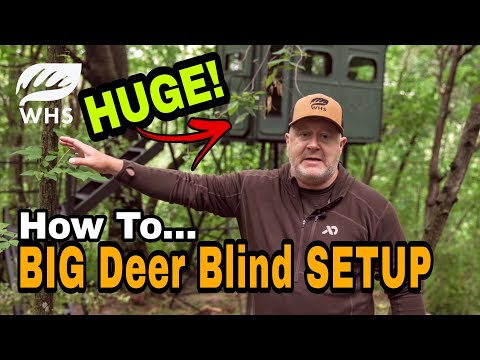 Huge Deer Blind Setup Tips