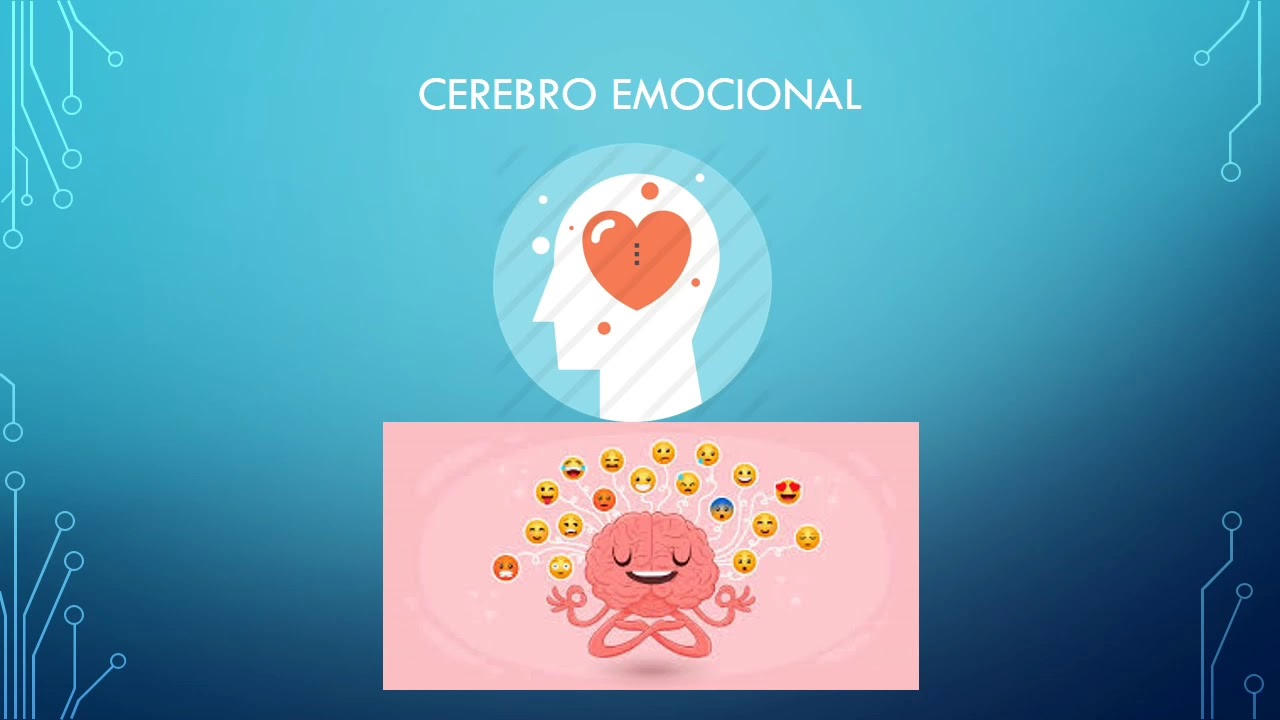 Cerebro cognitivo y emocional
