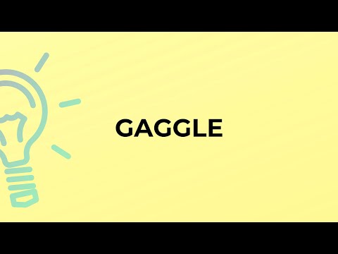 What is the meaning of the word GAGGLE?