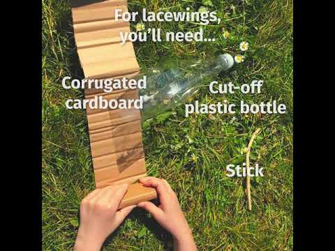 How to make simple bug hotels - Eden Project
