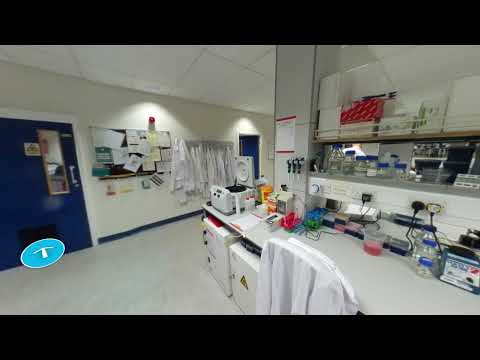 Virtual Lab Tour | MSc Stem Cells & Translational Neurology | The University of Edinburgh