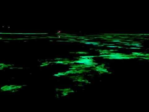 Green Laser Visual Stimulation, Las Vegas Nu-Salt Laser Light Shows