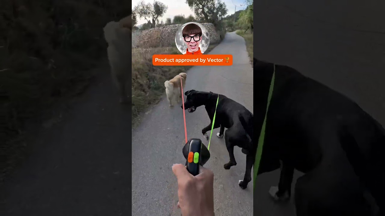Vector 100% recommends it because it solves a real problem for owners of 2 or more dogs.