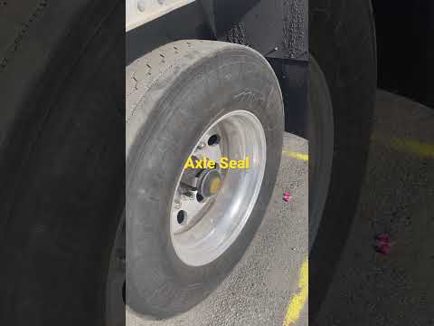 18C Axle Seal