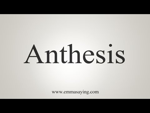 How To Say Anthesis