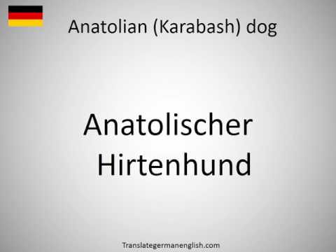 How to say Anatolian (Karabash) dog in German?