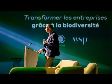 Comprendre le cadre TNFD : Guide pour débutants sur les divulgations financières liées à la nature