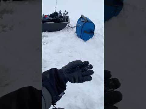 Striker Ice Combat Glove