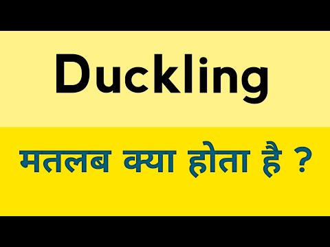 Duckling meaning in hindi | Duckling ka matlab kya hota hai ?