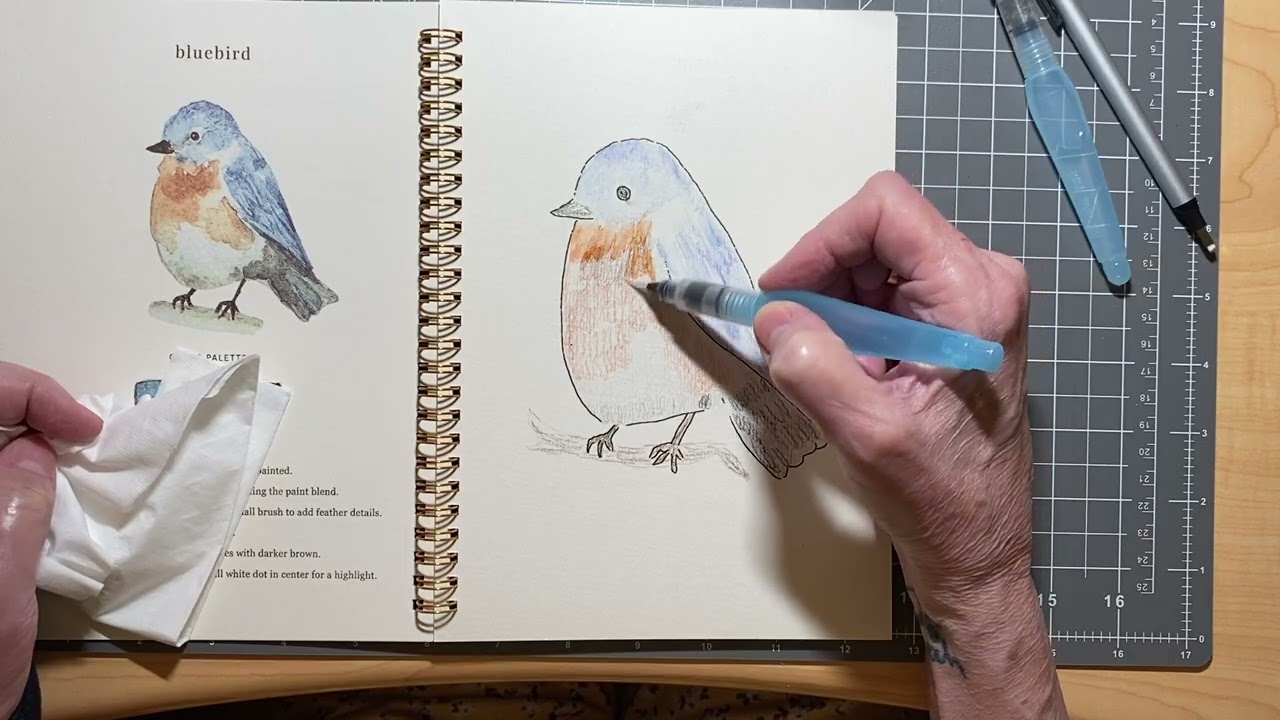 Watercolor Pencil Bluebird 