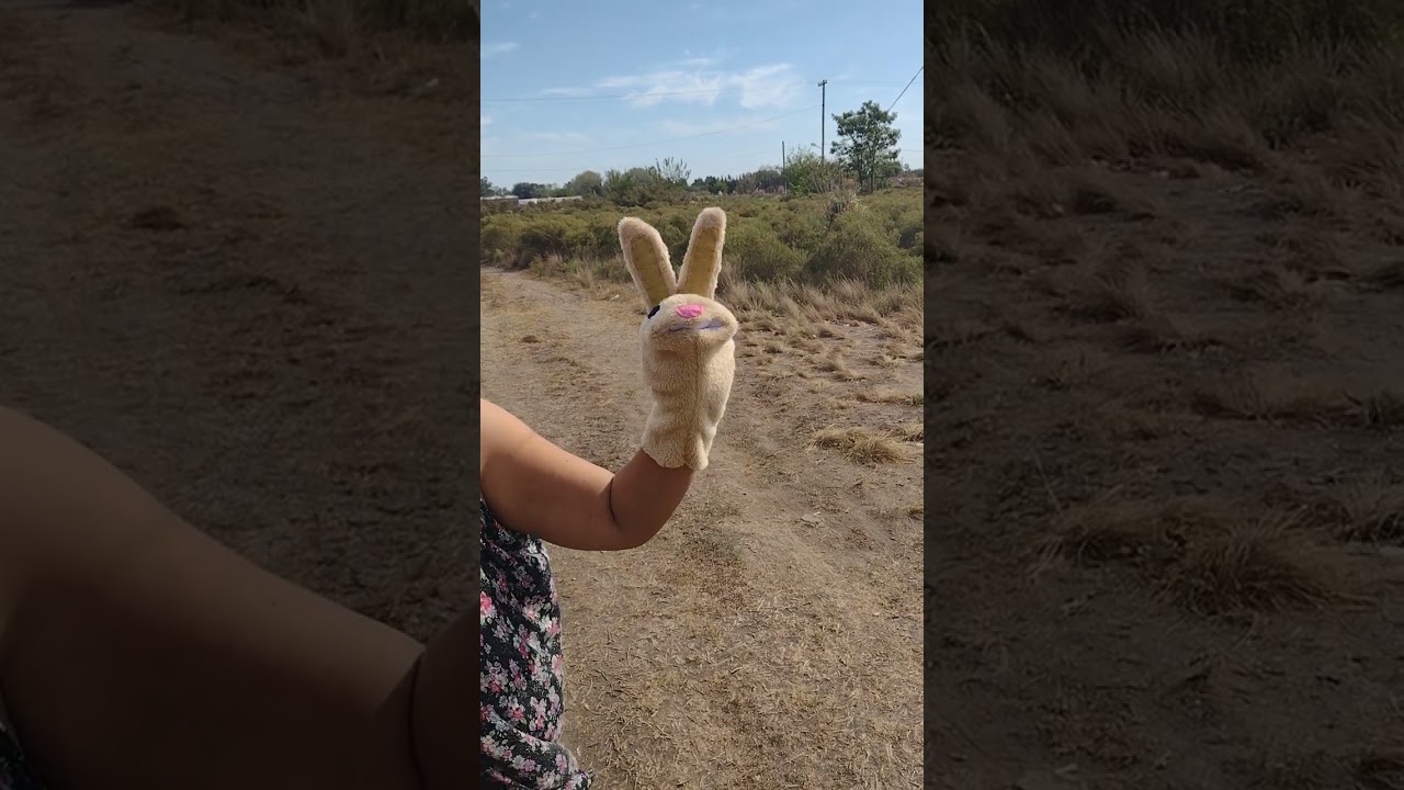 Títere de mano, mueve la boca , conejo Baby Einstein