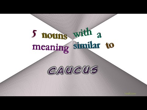 caucus - 7 nouns with the meaning of caucus (sentence examples)