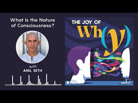 Apa Hakikat Kesadaran? | Podcast: The Joy of Why