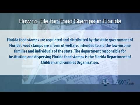 How to File for Food Stamps Florida