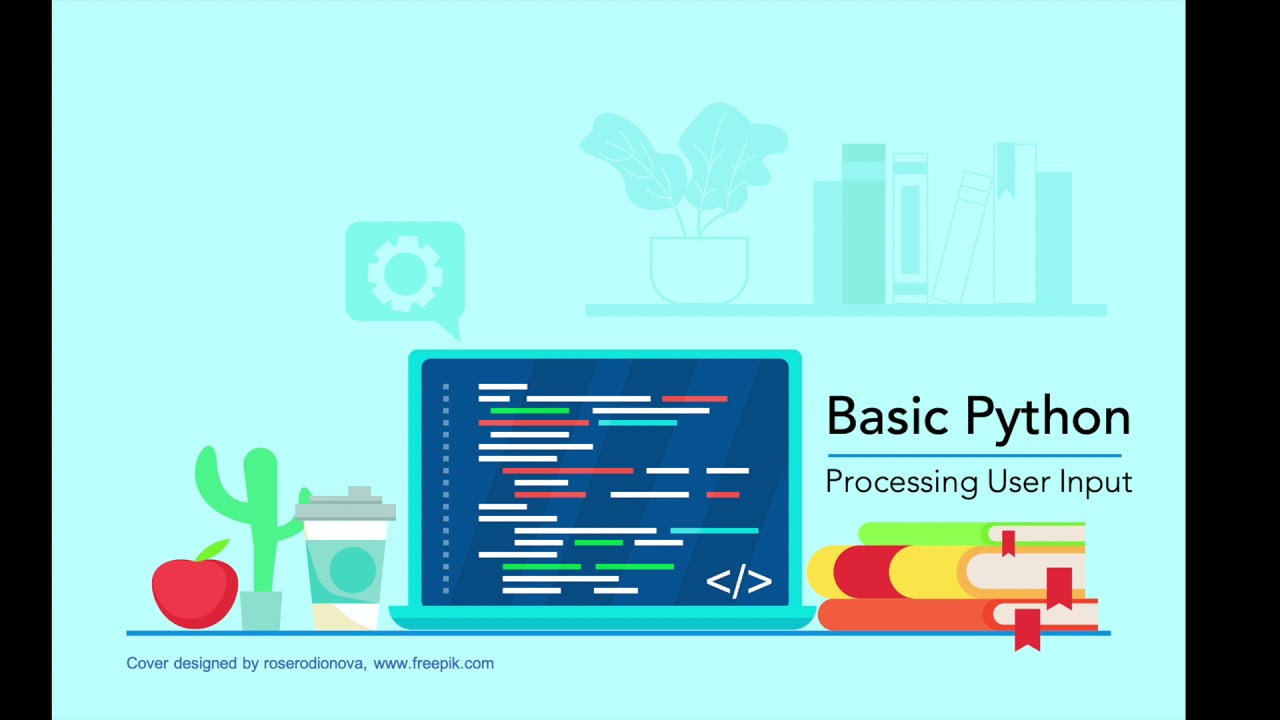 Processing User Input in Python