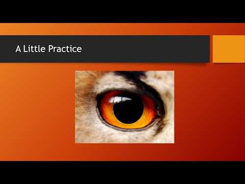 Discrete Continuous Numeric and Categorical Data