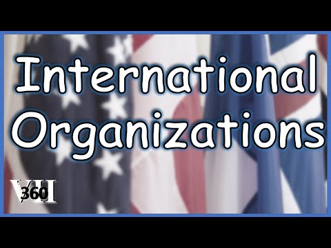 International Organizations: Governmental and NGOs