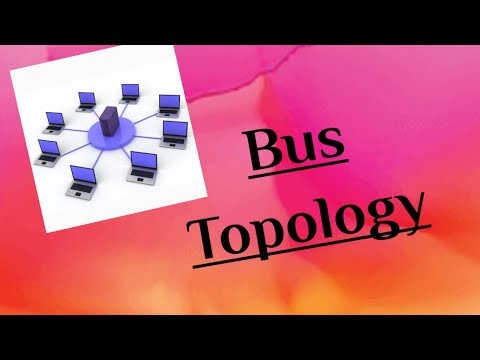 What is the Bus Topology? Advantages & Disadvantages.