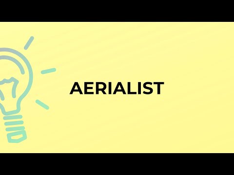 What is the meaning of the word AERIALIST?