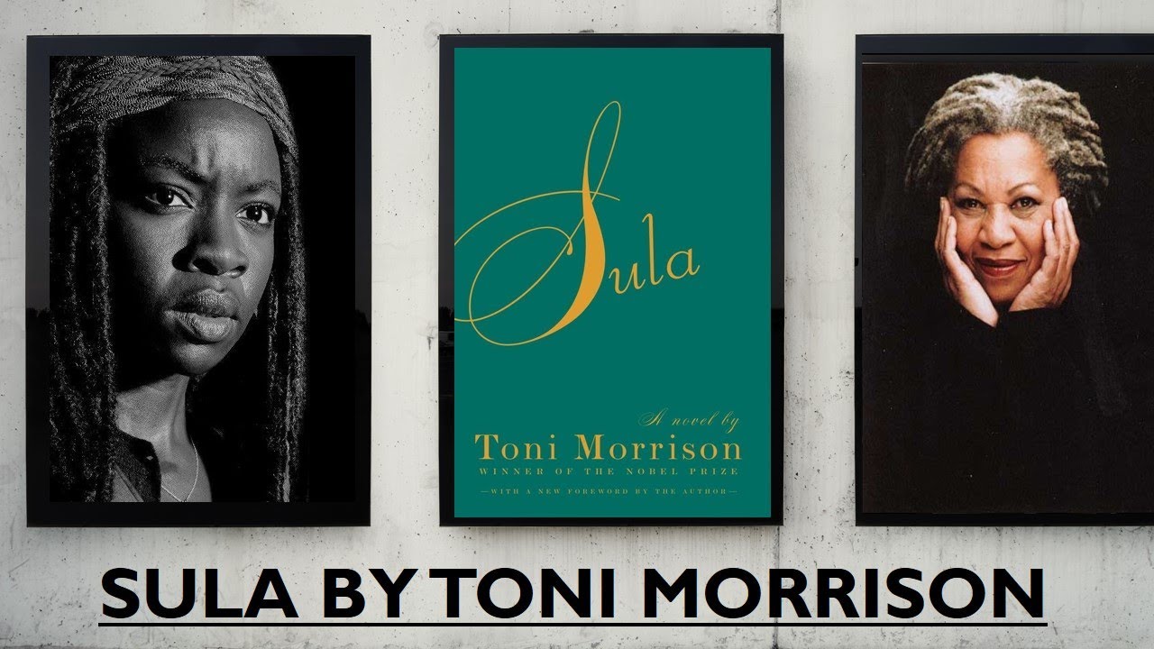 Exploring Toni Morrison's 'Sula': Themes, Characters, and Motifs ...