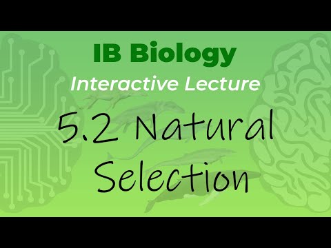 Mr. Leonard's IB Biology Video Course - 5.2 Natural Selection (student handout in description)
