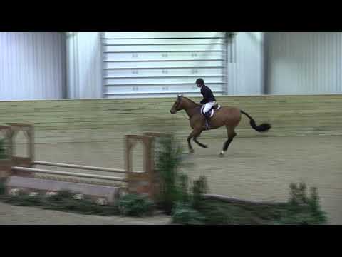 Video of VULCAN ridden by JASON BERRY from ShowNet!