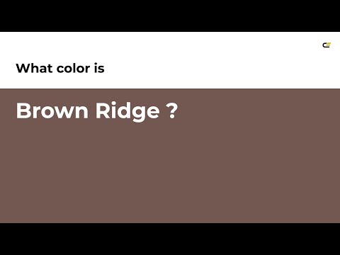 Brown Ridge color #735852 hex color - Red color - Cool color 735852
