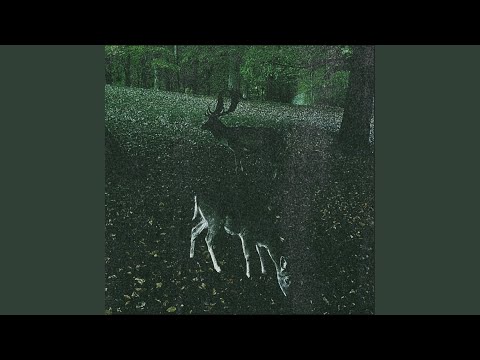 Words That Stay