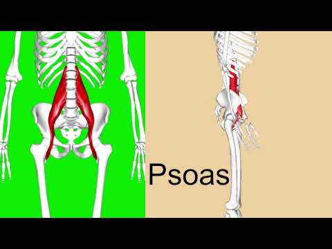 Thoracic Extension & Opening Computer Posture with Danielle Omo Mat Based Thai Massage Austin Texas