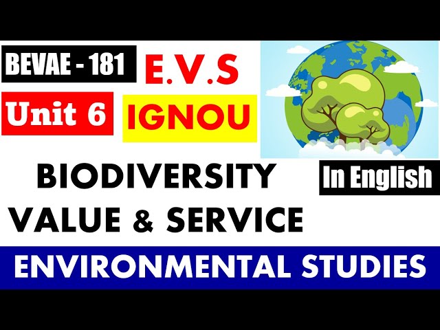 Understanding Biodiversity: Values and Services in Environmental ...