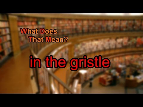 What does in the gristle mean?
