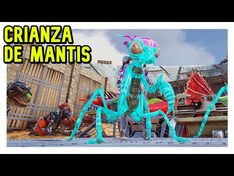 Steam Community :: Video :: Criar Mantis | ARK | Servidor Oficial