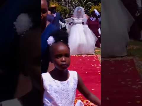 Bridal Entourage.... Wedding Videography.
