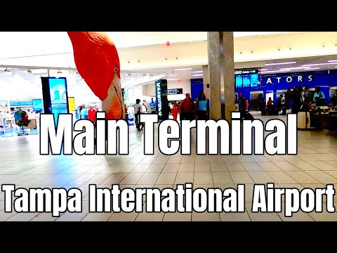 ✈️🚶TPA Main Terminal - Tampa International Airport, Tampa Bay, FL
