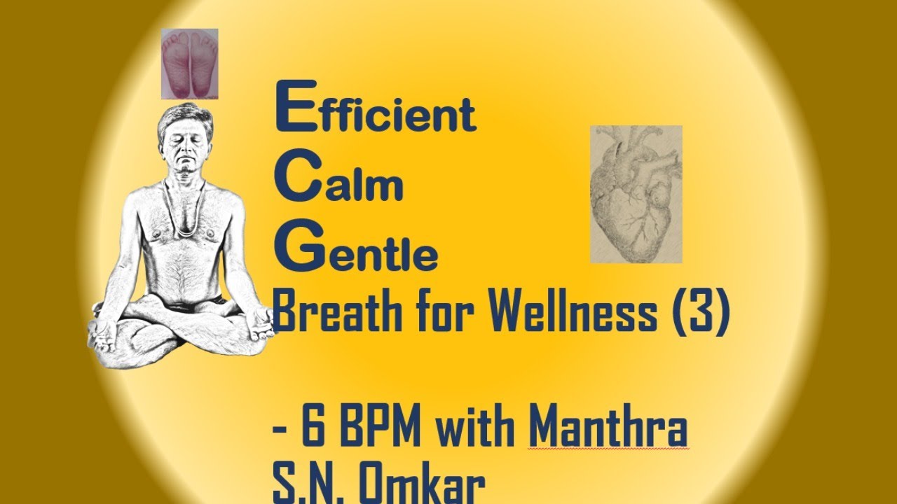 ECG Breath (Part 3) : Breathing for Anxiety Relief | Breathing rate 6/min (Guided Breathing)
