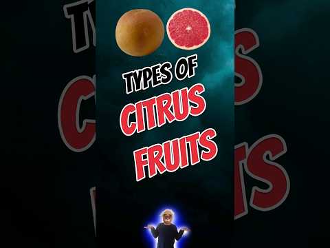 Types Of Citrus Fruits In English #shorts #learnenglish