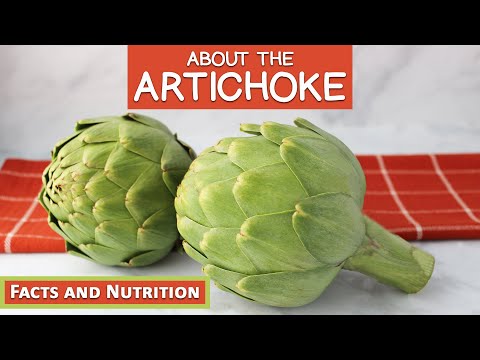 About the Artichoke, Interesting Facts, Preparation and Nutrition