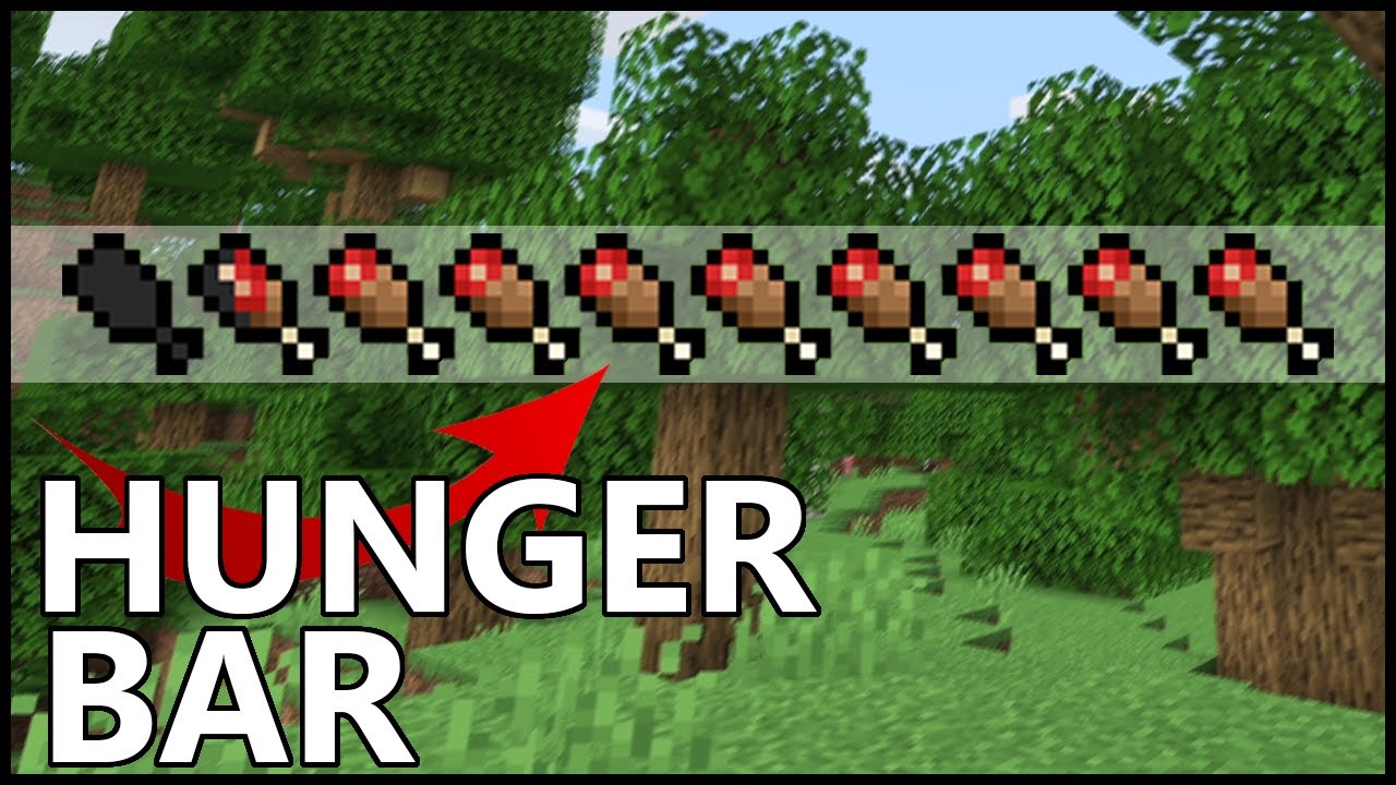 How Does HUNGER Work In Minecraft