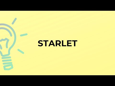 What is the meaning of the word STARLET?