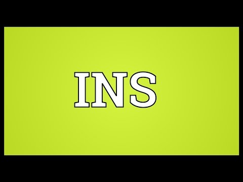 INS Meaning