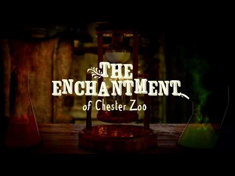 The Enchantment of Chester Zoo 2017