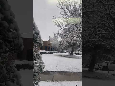 A very snowy day at Fausone & Grysko, PLC | Northville, MI