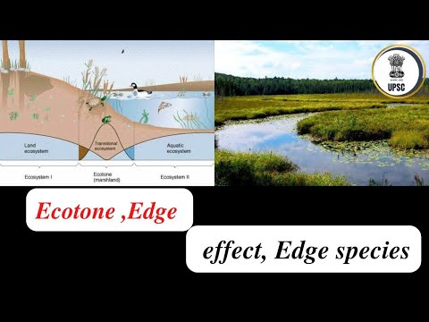 L-3 Ecotone, Edge Effect, Edge species