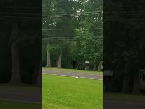 The Slender Man CAUGHT AGAIN ON CAMERA